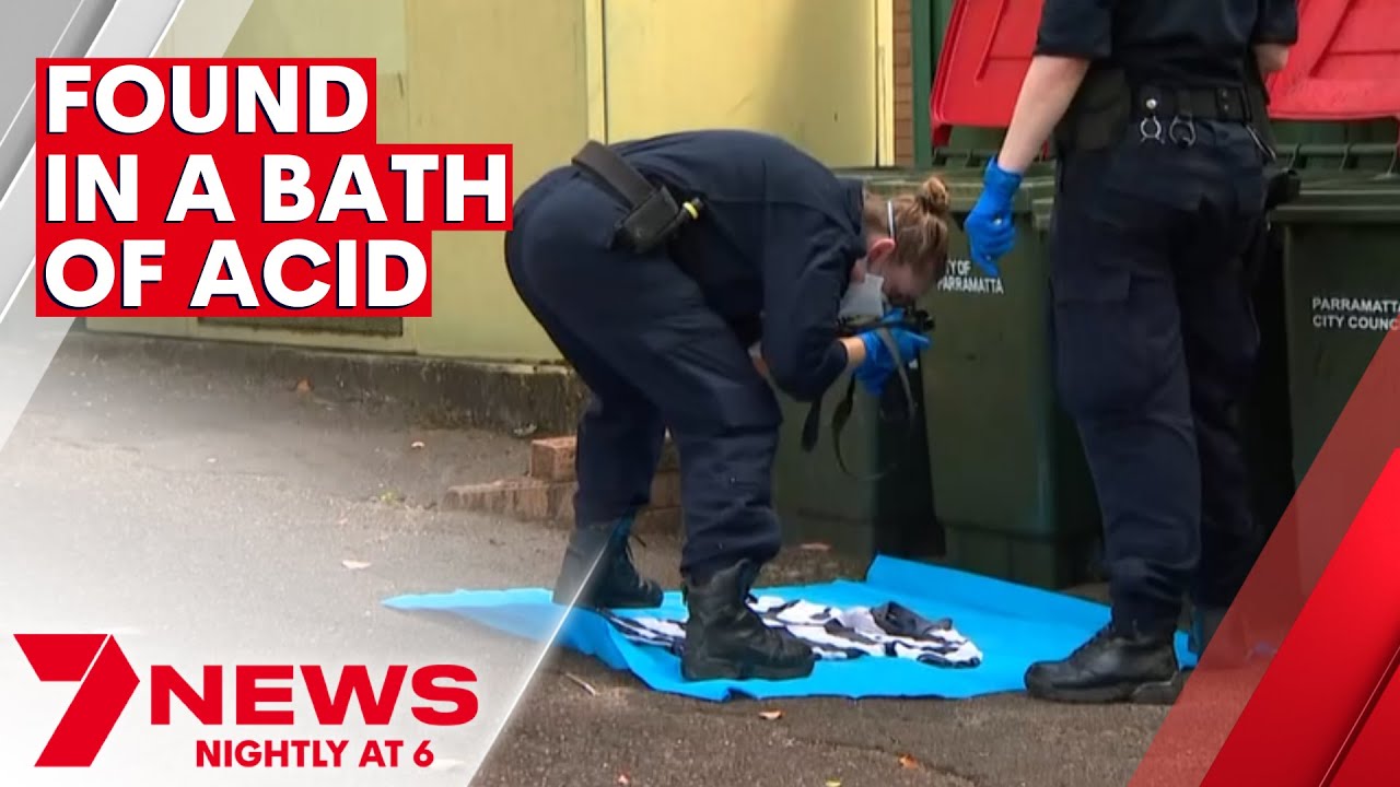 Meraj Zafar allegedly killed his partner, Arnima Hayat, in North ...