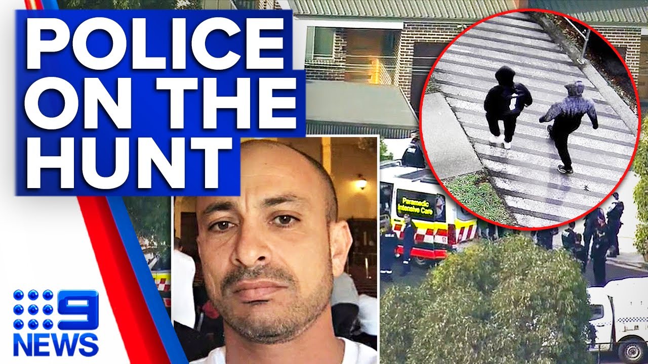 Major search to find guns used to kill Mejid Hamzy | 9 News Australia ...