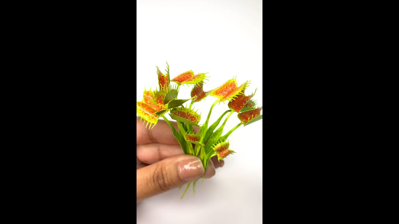 This teeny tiny paper venus fly trap is so realistic! 💚 - The Global Herald