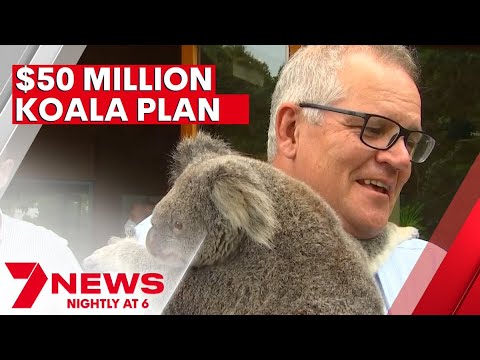 National koala funding announcement: Prime Minister Scott Morrison at ...