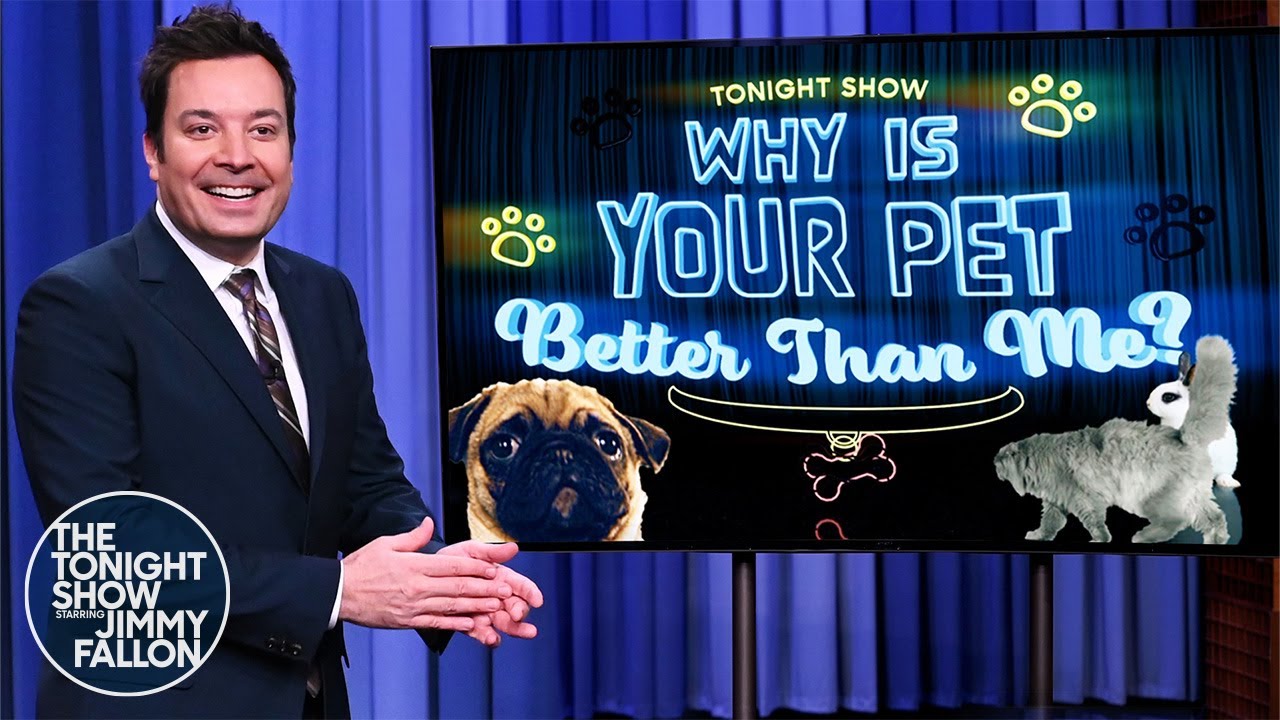 Why Is Your Pet Better Than Me?: Balloon-Bouncing Dog, Moonwalking Dog ...