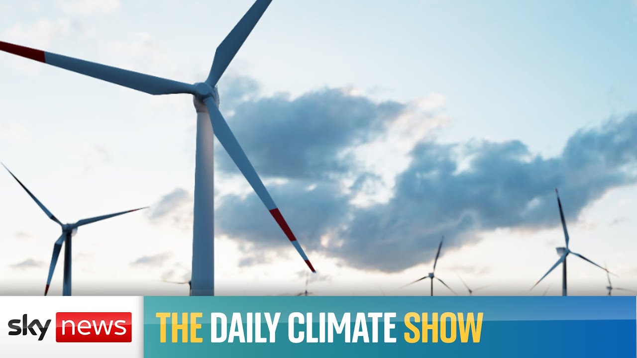 Wind-farm contracts worth £700 million have been awarded to energy ...