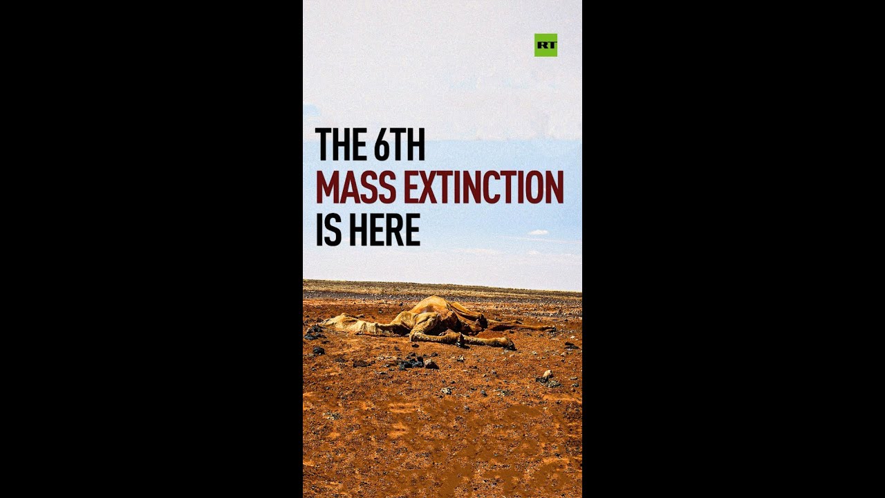 The 6th Mass Extinction Is Here - The Global Herald