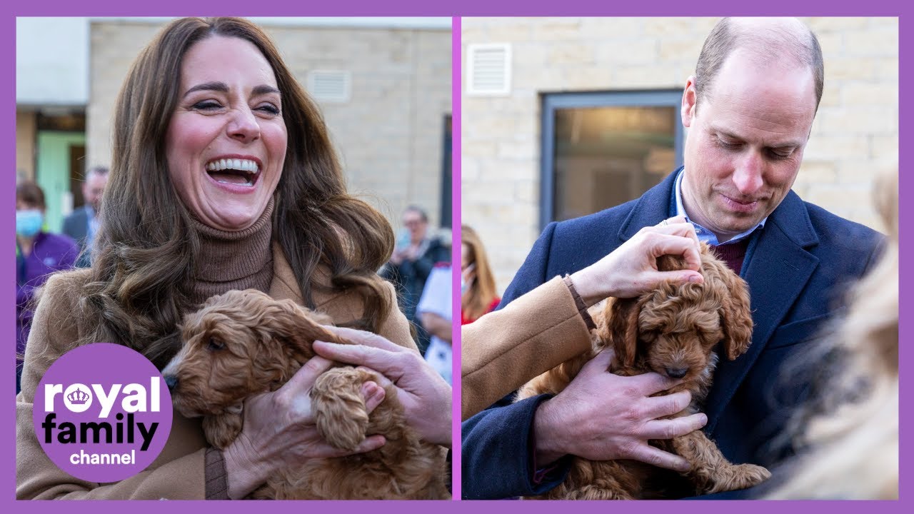 Highborn Hounds! The Royal Family's Furry Friends - The Global Herald