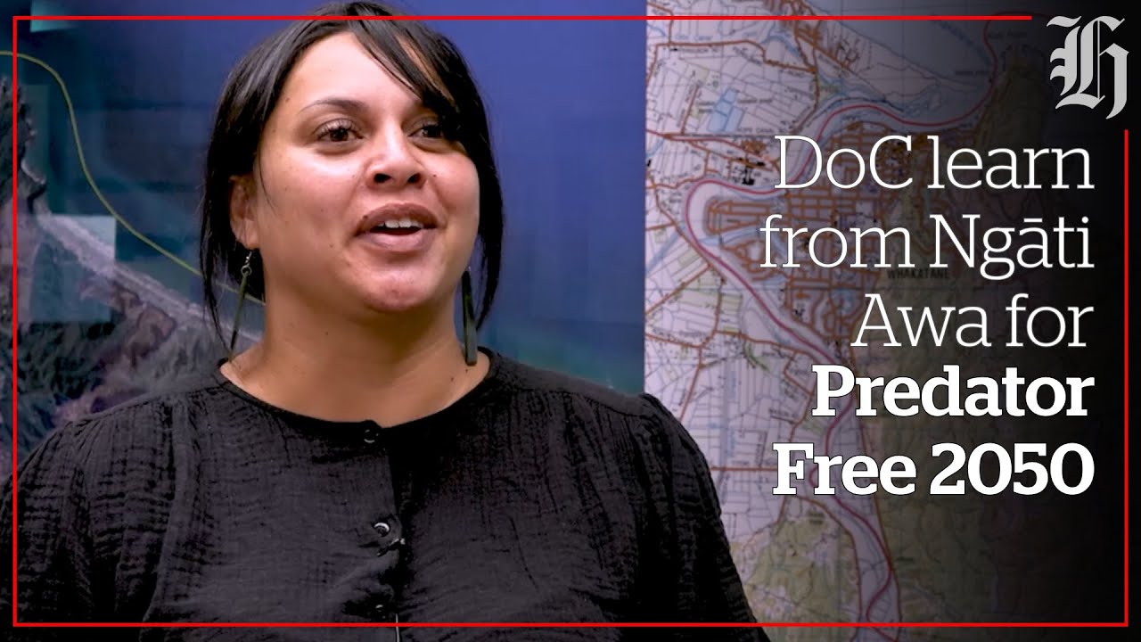 Ngāti Awa first Iwi to lead Predator Free 2050 | Local Focus - The ...