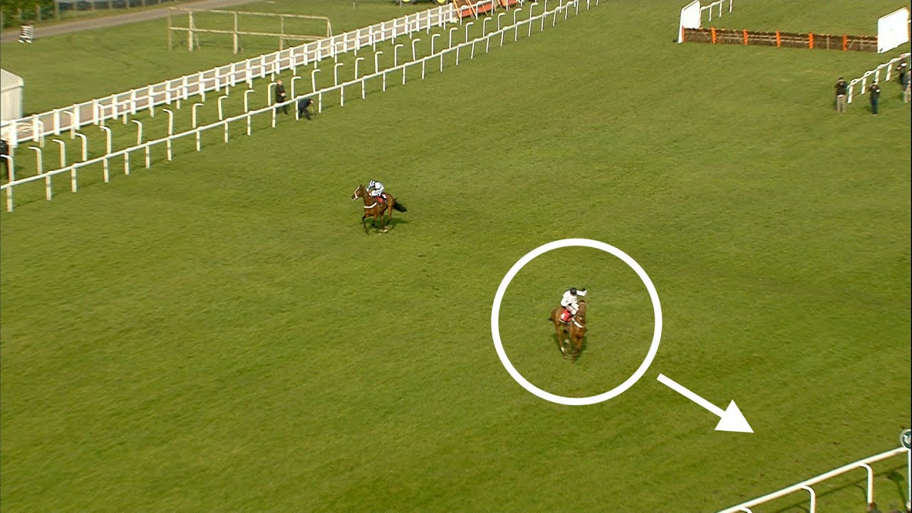 Have you ever seen anything like it!? Incredible scenes at Sandown ...