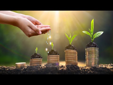 Two Session Special: Interview with Sungrow Chairman Cao Renxian - The ...