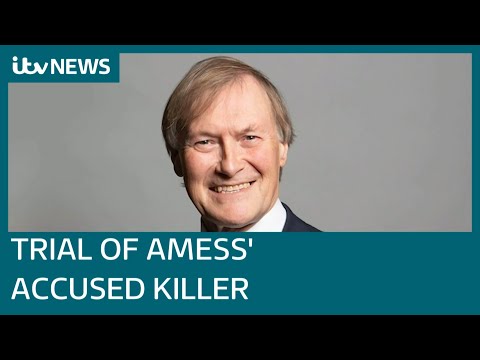 Trial of terror suspect Ali Harbi Ali accused of murder of MP David ...