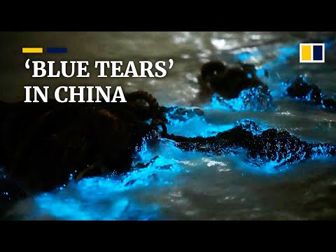China’s luminous ‘blue tears’ are actually a tip-off to unhealthy ...
