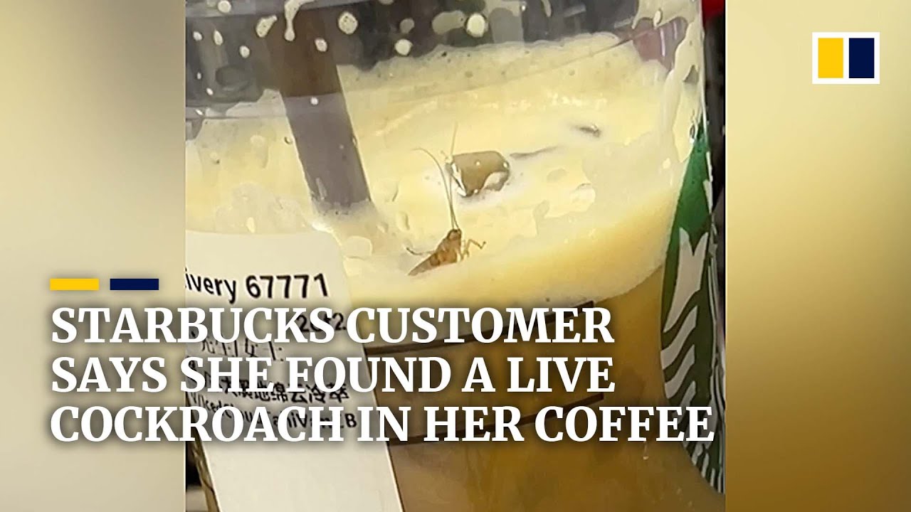 Starbucks customer in China says she found a live cockroach in her ...