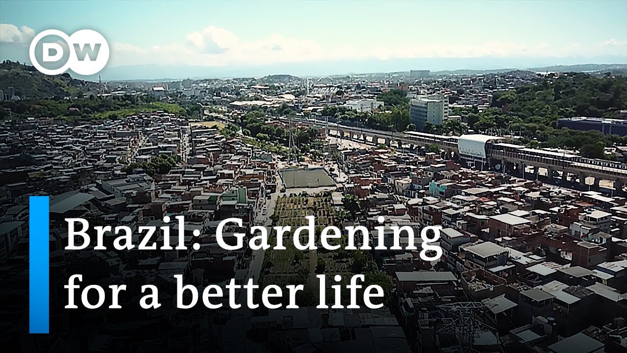 A community garden that has brought hope to the favela | Global Ideas ...