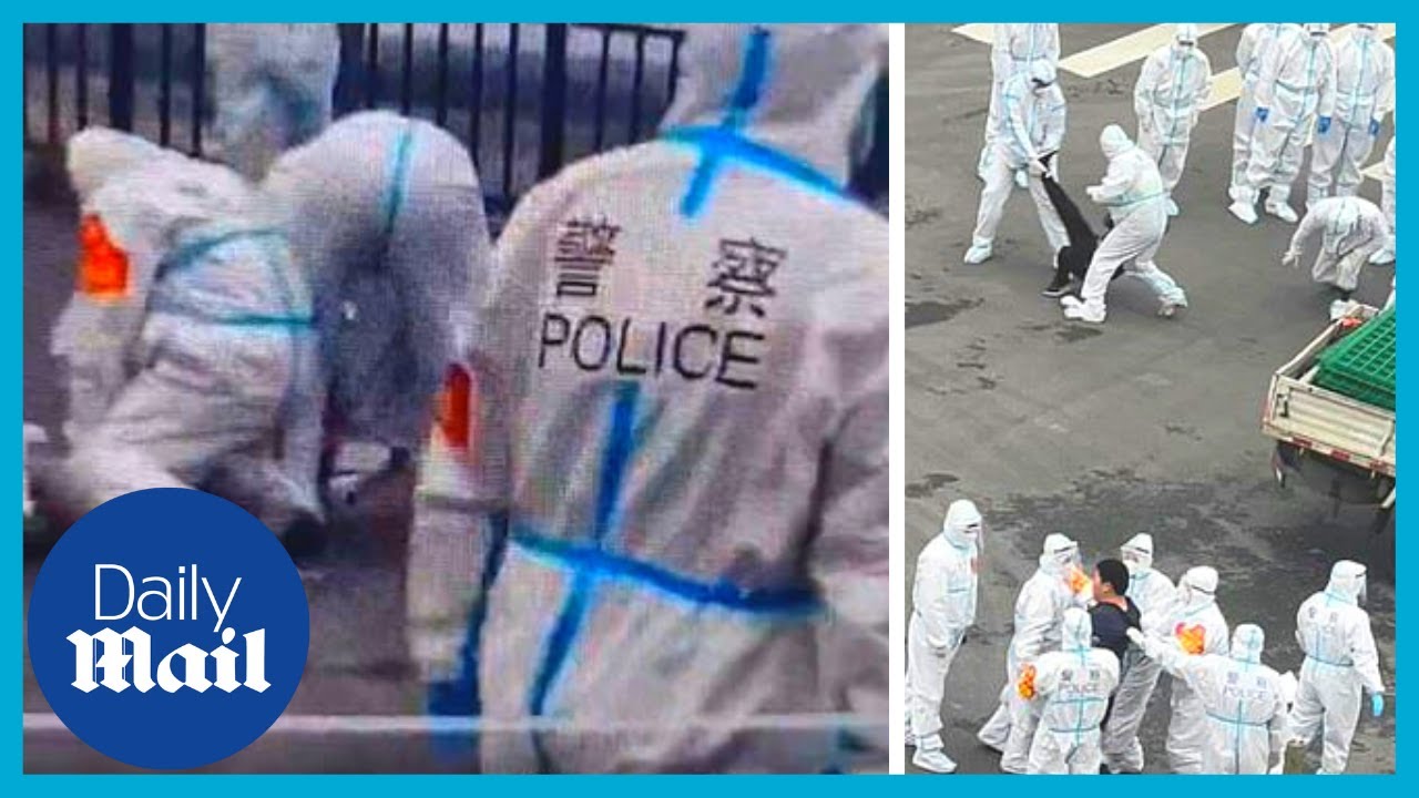 Shanghai lockdown protest: Police appear to tackle Covid quarantine ...