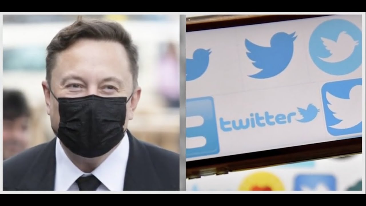 Elon Musk buying Twitter is ‘the best thing that’s ever happened’ to it ...