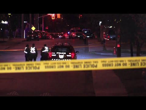 Toronto police identify woman found in garbage bag as Tien Ly, looking ...