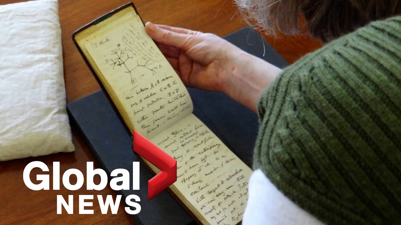 Evolving story: Rare Charles Darwin notebooks returned 20 years after ...