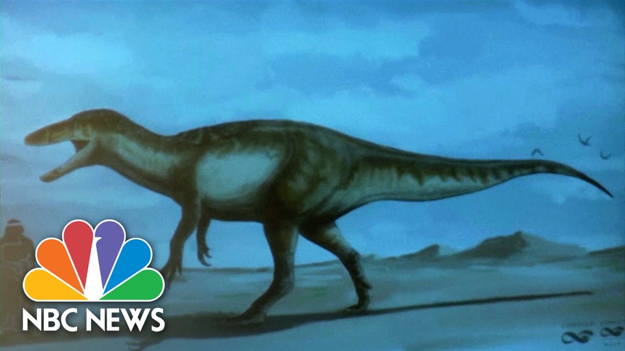 Fossil Of 'Megaraptor' With Blade-Like Claws Discovered In Argentina ...