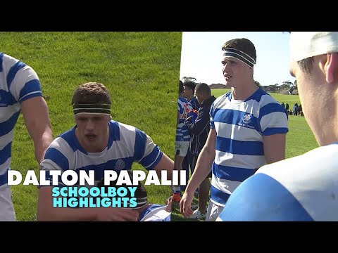 Dalton Papalii truly led from the front when he played schoolboy rugby ...