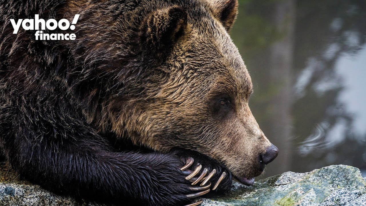 How rare is an S&P 500 bear market? - The Global Herald