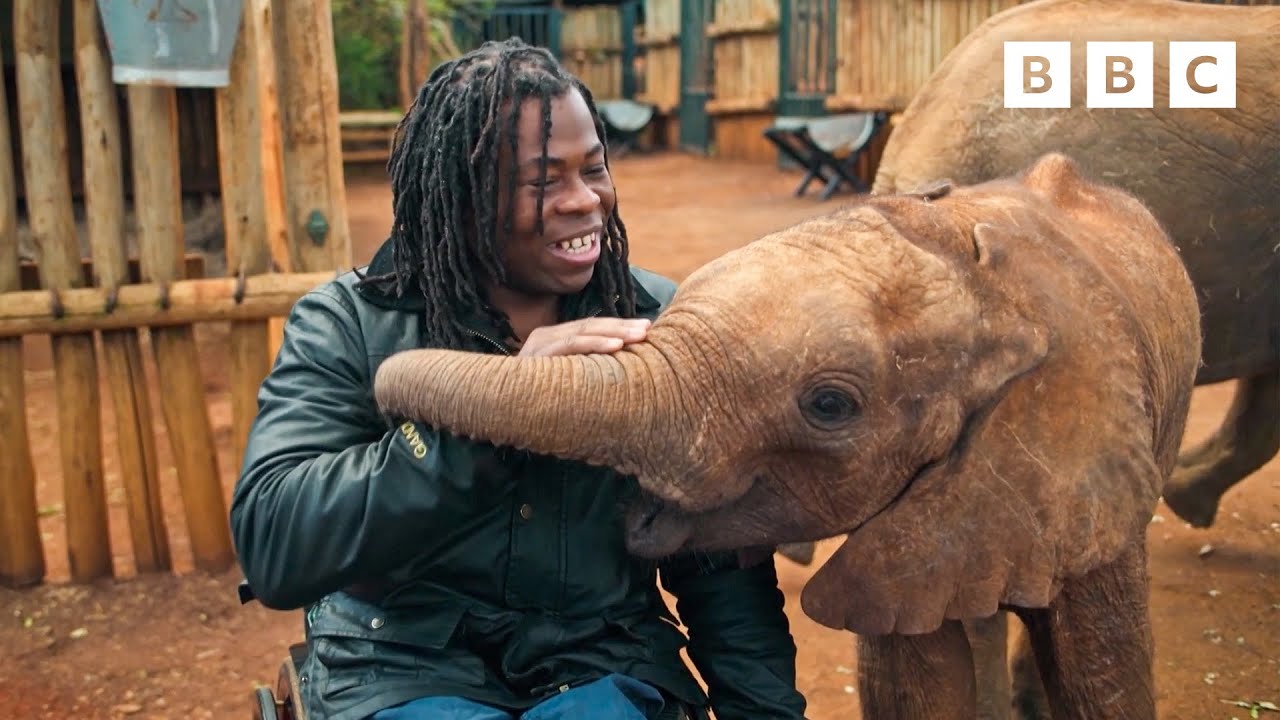 Ade Adepitan travels to Nairobi to meet baby elephant orphans | Our ...