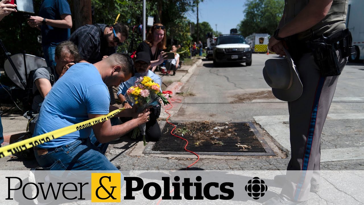 U.S. needs cultural shift on guns: David Frum - The Global Herald