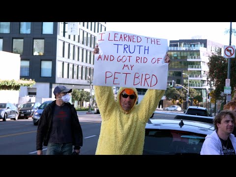 Birds Aren't Real: The conspiracy theory that satirizes conspiracy ...