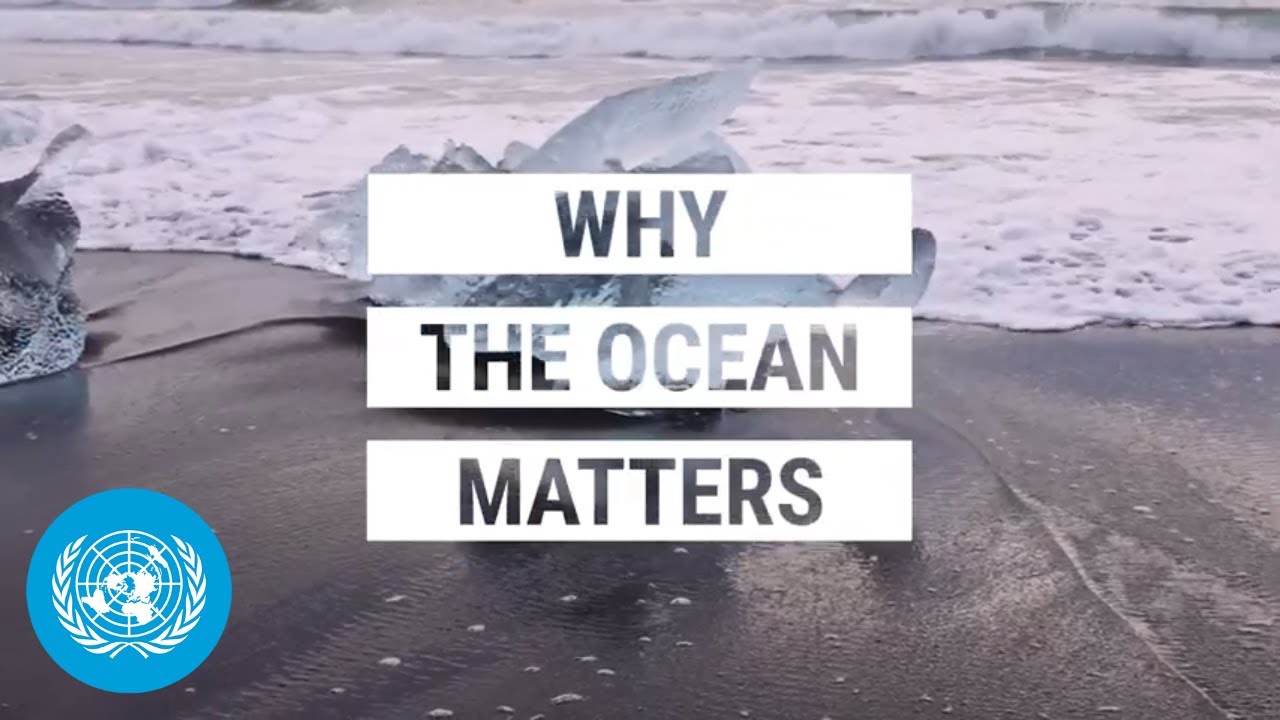 Why the Oceans Matter with Cody Simpson and others - Ocean Conference ...