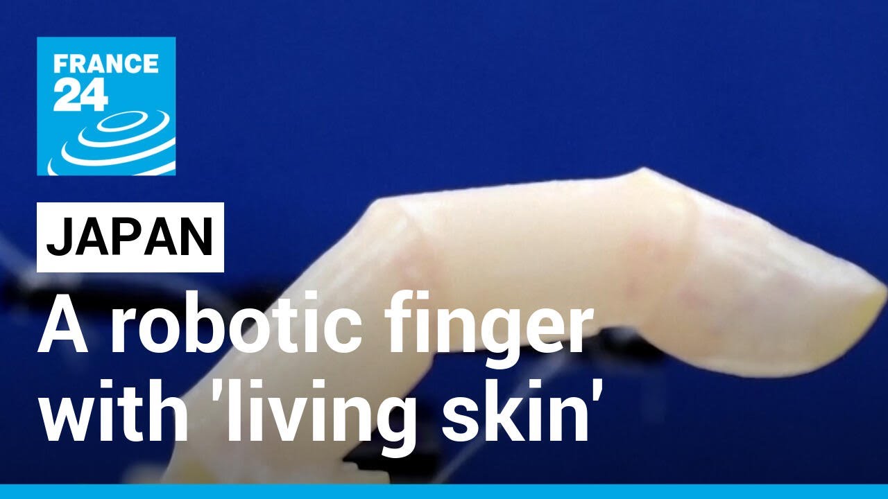 Scientists create robotic finger with 'living skin' • FRANCE 24 English ...