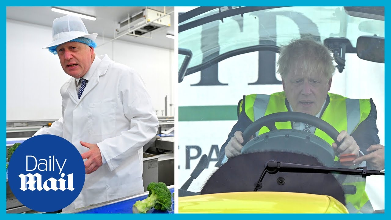 Boris Johnson nervously drives tractor and inspects broccoli at Cornish ...