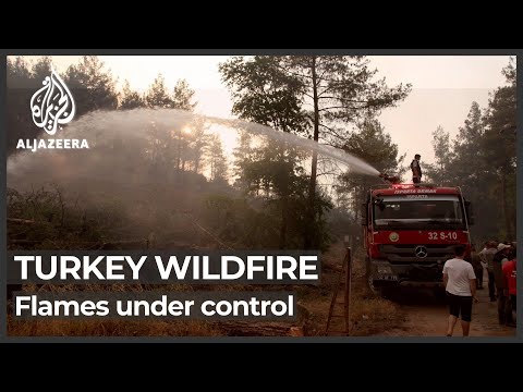 Turkey wildfire contained after 4,500 hectares of forest burned - The ...