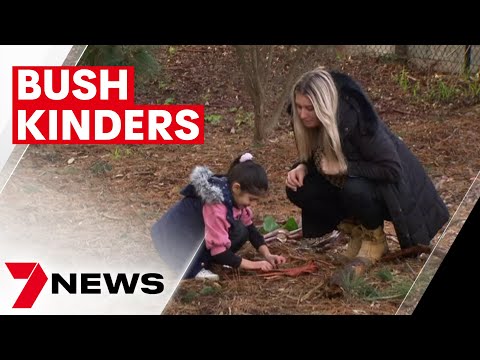 New research reveals bush kinder gives children a head start at school ...