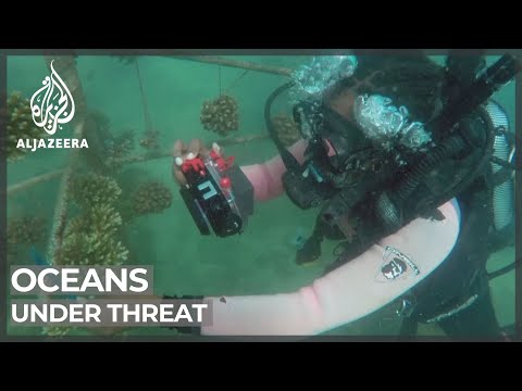 World faces ‘ocean emergency’, UN warns, as activists urge action - The ...
