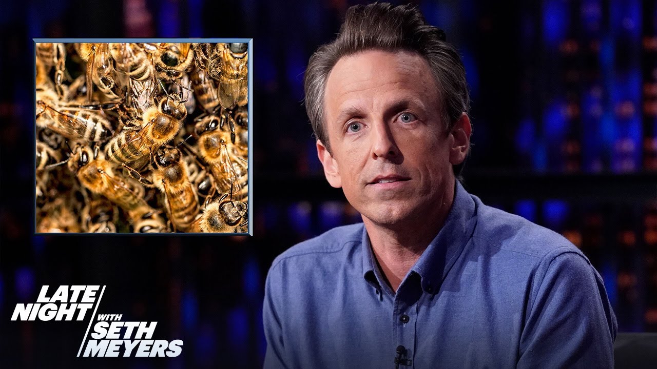 Best-Case Scenario, Worst-Case Scenario and One with Bees - The Global ...