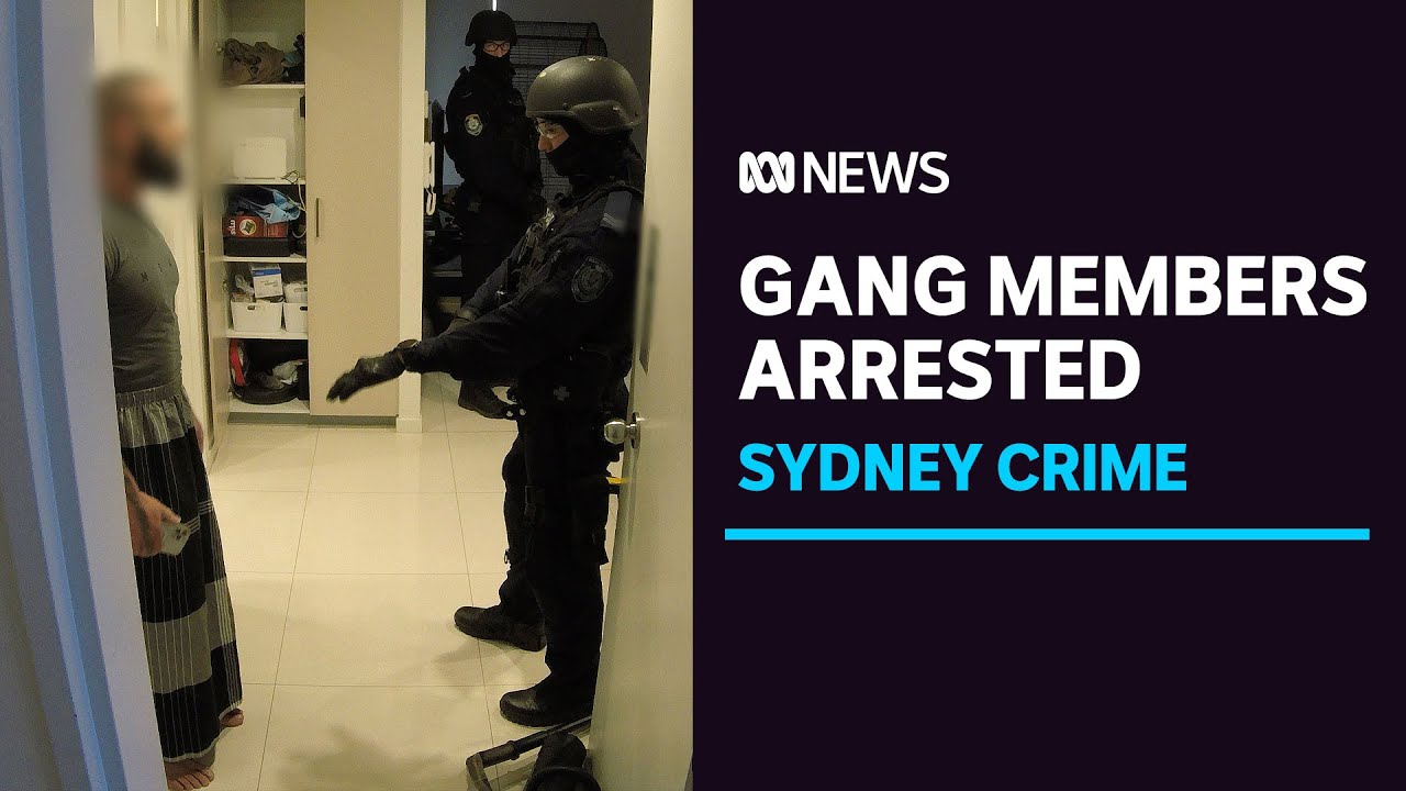 Sydney organised crime gang members arrested in raid blitz | ABC News ...