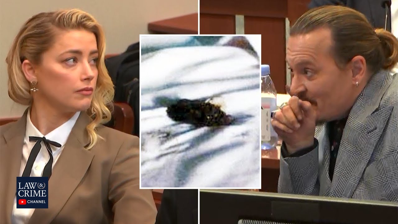 Will the 'Poop in the Bed' Incident Influence the Jury's Verdict in ...