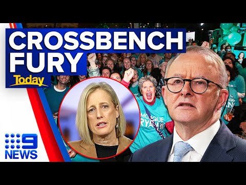 Crossbench fury over 'short-sighted' decision by PM | 9 News Australia ...