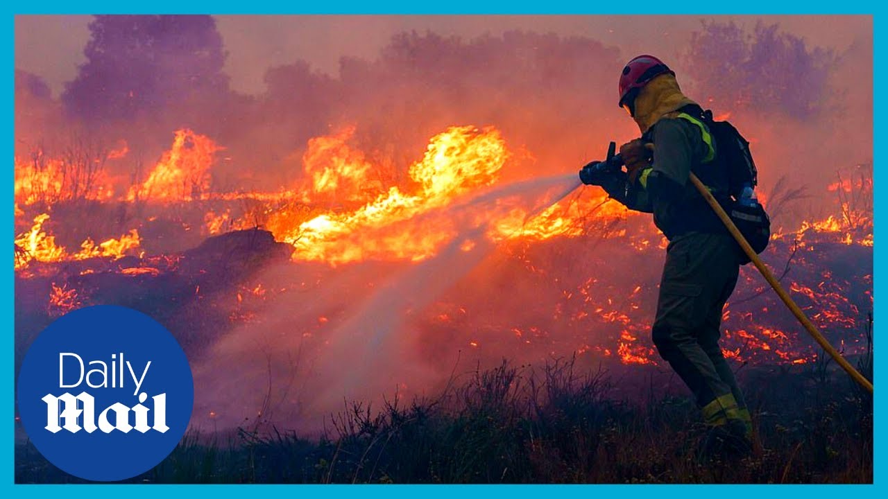 Spain: Firefighters battle wildfires amid scorching heatwave - The ...