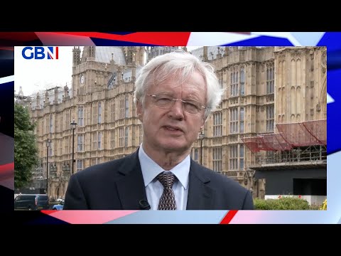 'We need a new prime minister!' | David Davis responds to Boris Johnson ...