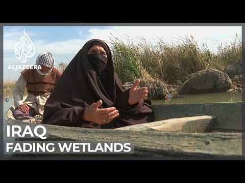 Iraq's fading wetlands: UNESCO site threatened by climate change - The ...