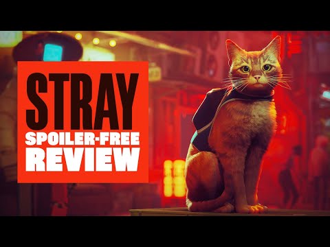 Stray PS5 Spoiler Free Review - STRAY PS5 GAMEPLAY - The Global Herald
