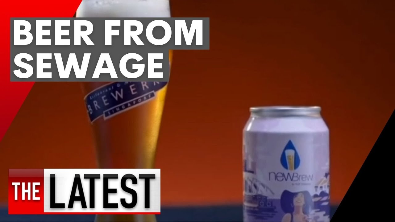 Singapore brewery uses treated sewage water to make beer | 7NEWS - The ...