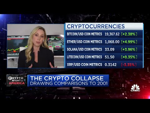 How The Crypto Collapse Compares To The Dotcom Bubble The Global Herald