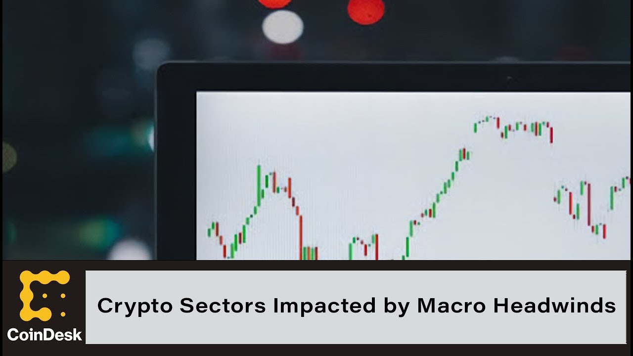 Crypto Sectors That Have Been Most and Least Impacted by Macro ...