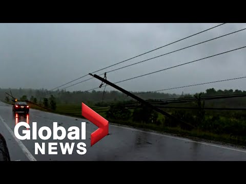 Possible tornado hits central Ontario, uprooting trees and downing power lines - The Global Herald