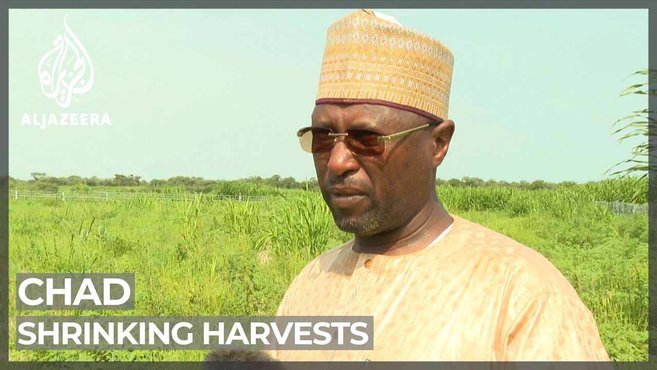 Chad: Climate change blamed for driving up food costs - The Global Herald