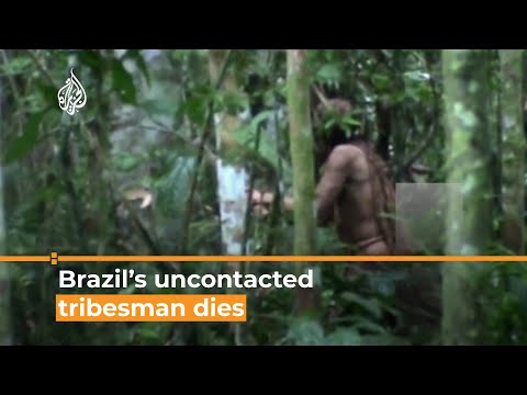 The last survivor of an Indigenous Brazilian tribe found dead | Al ...