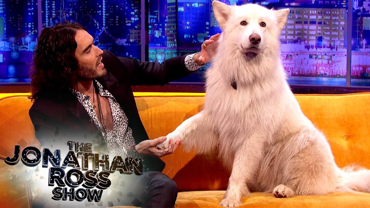 Russell Brand and Brian The Dog | The Jonathan Ross Show - The Global ...