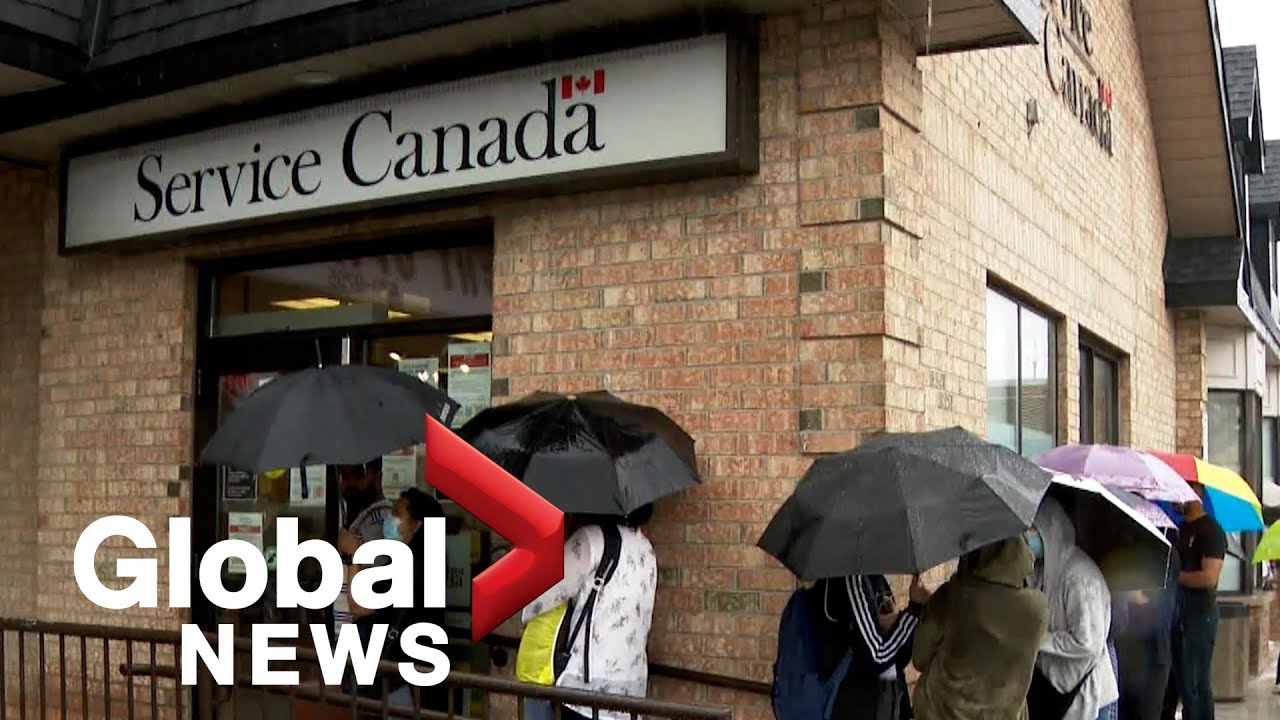 Service Canada sees long lineups for social insurance numbers in latest ...