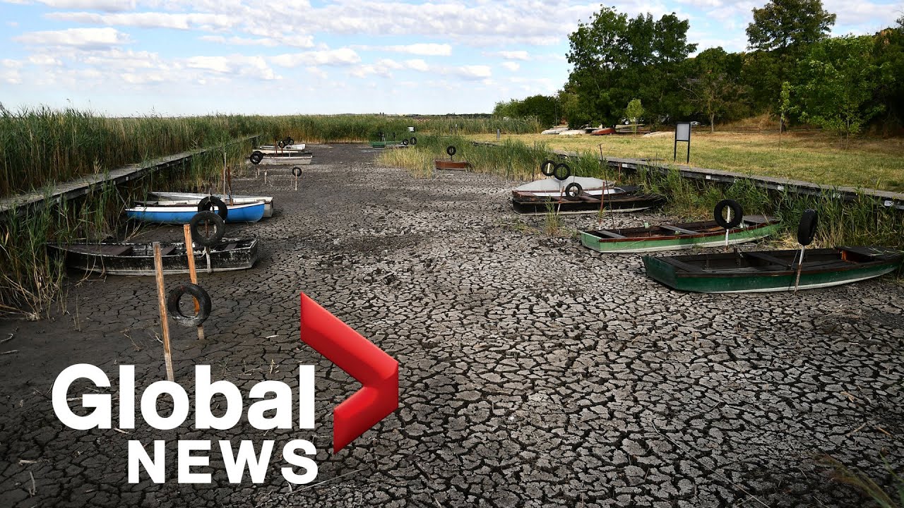 Waters run dry across Europe as widespread droughts plague Northern ...