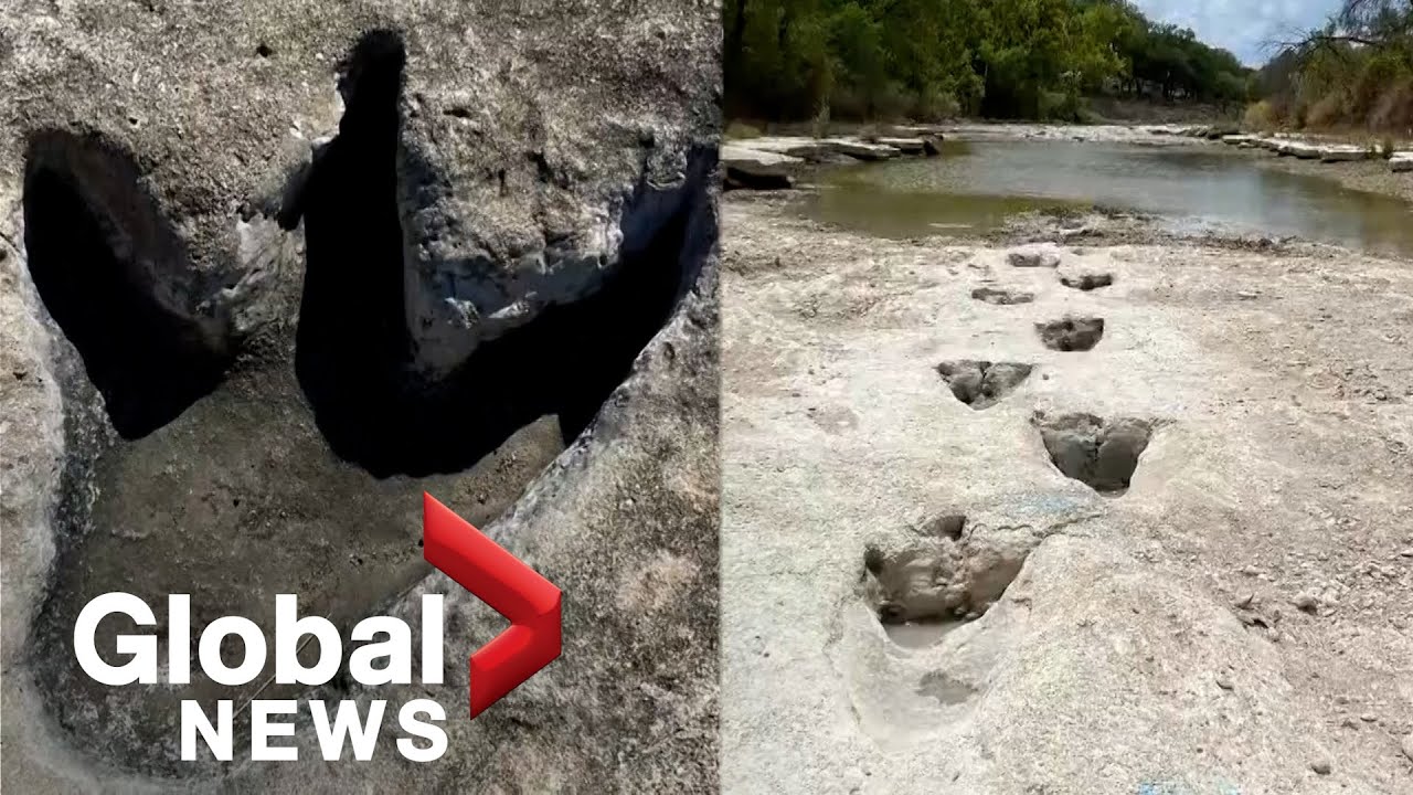 Dinosaur tracks from 113 millions years ago discovered after severe ...