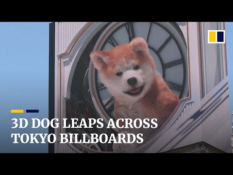 Giant 3D dog leaps across Tokyo billboards - The Global Herald